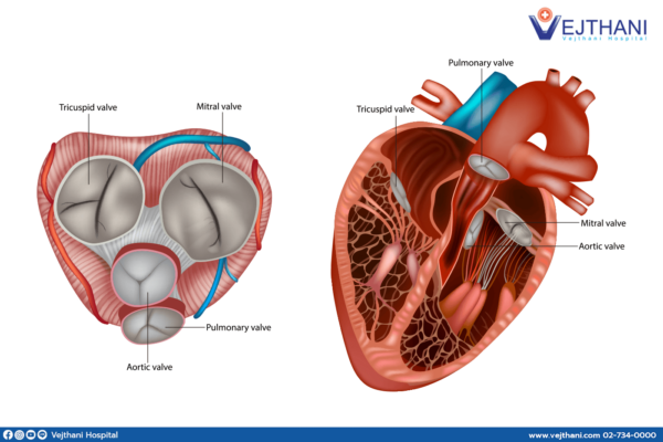 Heart Valve Repair Surgery | Vejthani Hospital