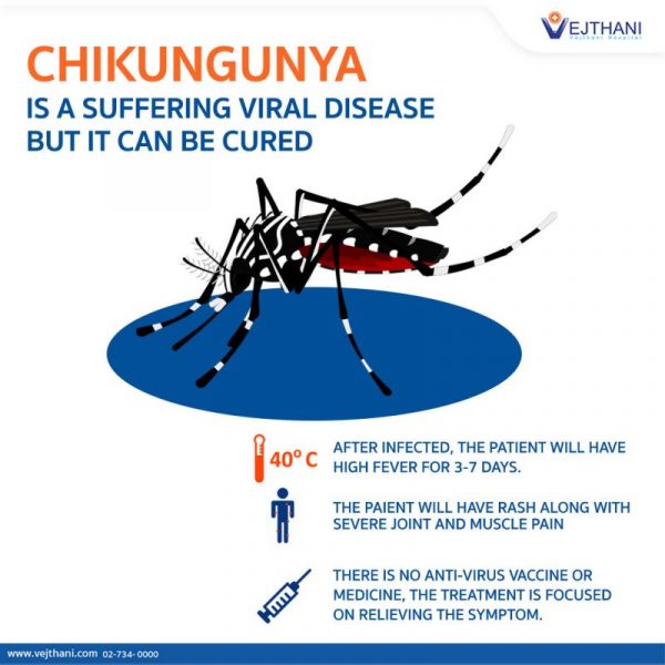 Chikungunya can be cured and prevented - Vejthani Hospital