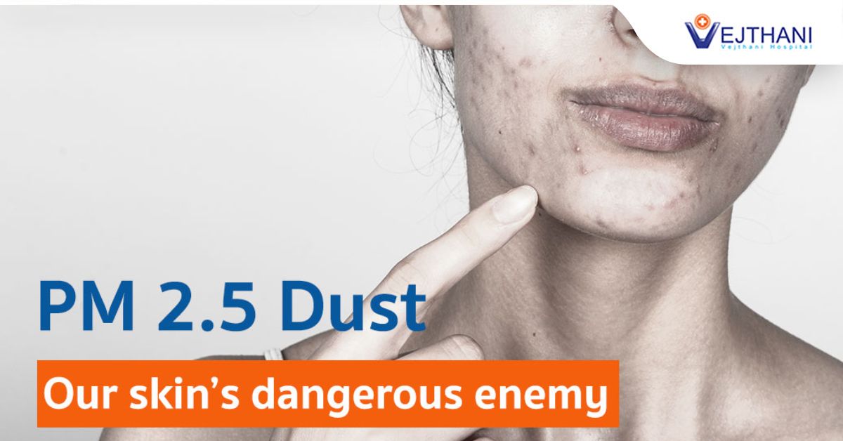 PM 2.5 Dust , our skin’s dangerous enemy