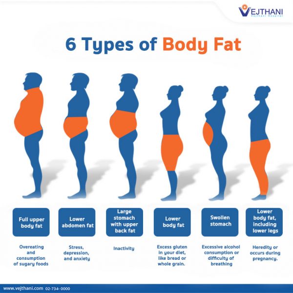 6 Types Of Body Fat Vejthani Hospital JCI Accredited International 6 Types Of Body Fat Vejthani Hospital JCI Accredited International
