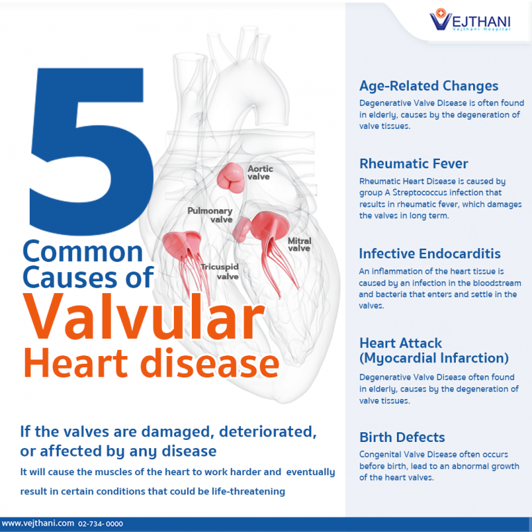 5 Common Causes of Valvular Heart disease