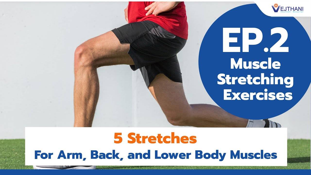 5 Stretches for Arm, Back, and Lower Body Muscles